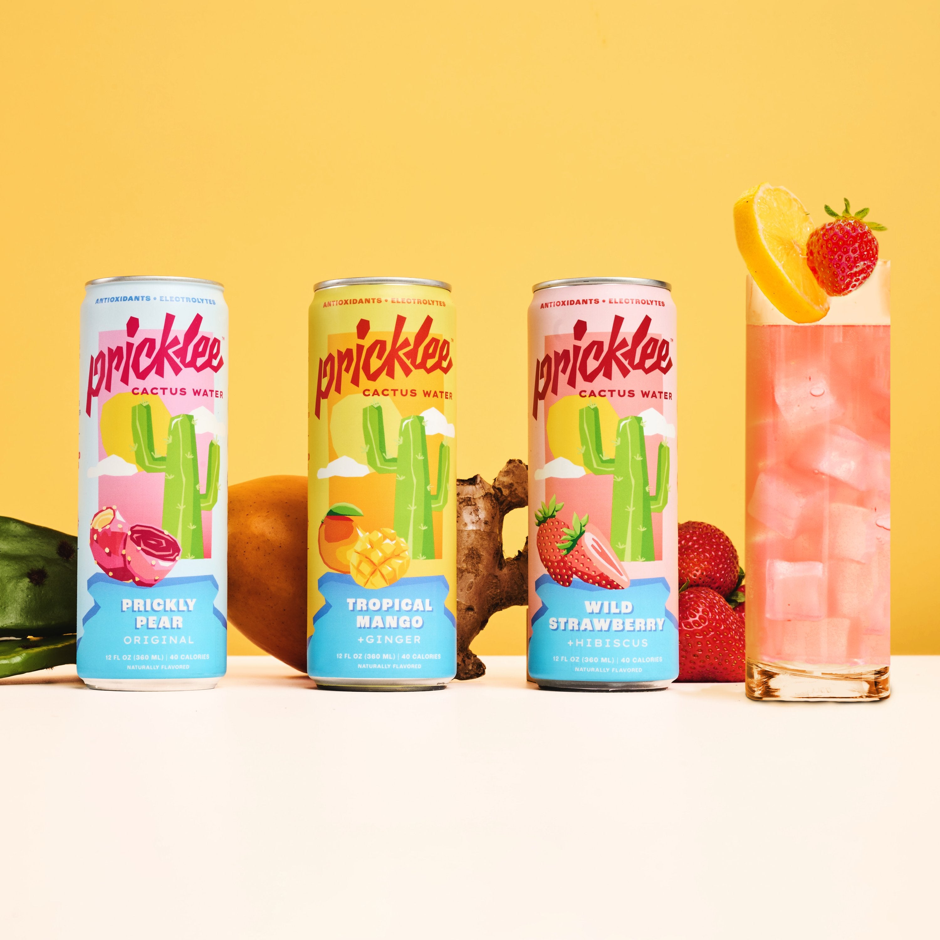 Oasis Sampler – 🌵 Pricklee Cactus Water 🌵